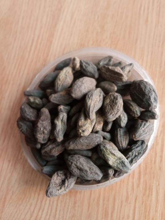 Terminalia chebula 100g | Daraz.com.np