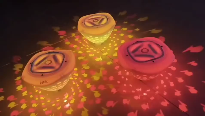 Colorful Underwater Lights Fish Pattern Fountain Projector Light ...