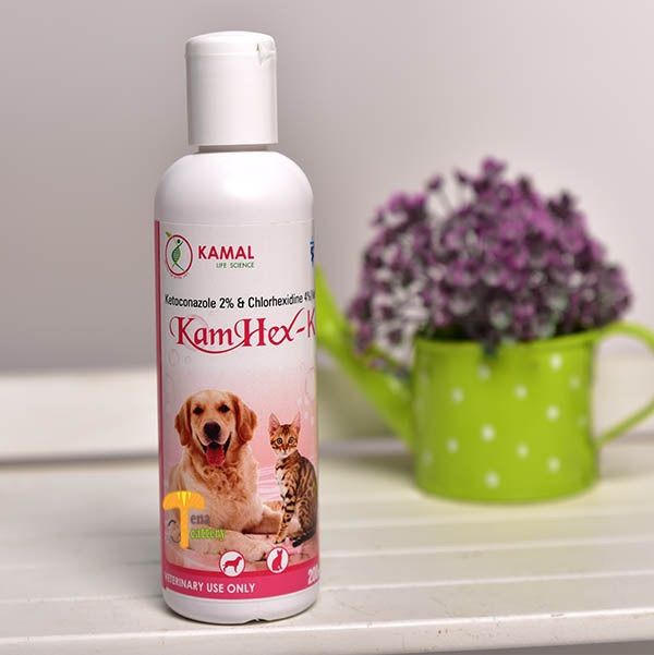 Kamhex Antifungal Shampoo 200ml / Medicated Shampoo For Dogs & Cats ...