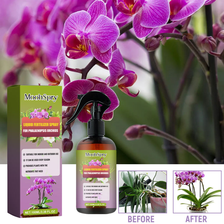 Orchid fertilizer spray; Indoor flower cultivation rooting and ...