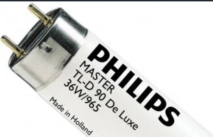 D65 tube light | Daraz.com.bd