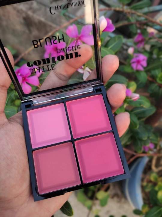Chanlanya Matte contour palette Blush | Daraz.com.bd