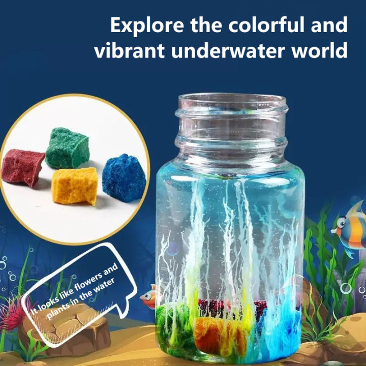 DIY Water Stone Experiment Kit Magic Garden Sodium Silicate Growth ...