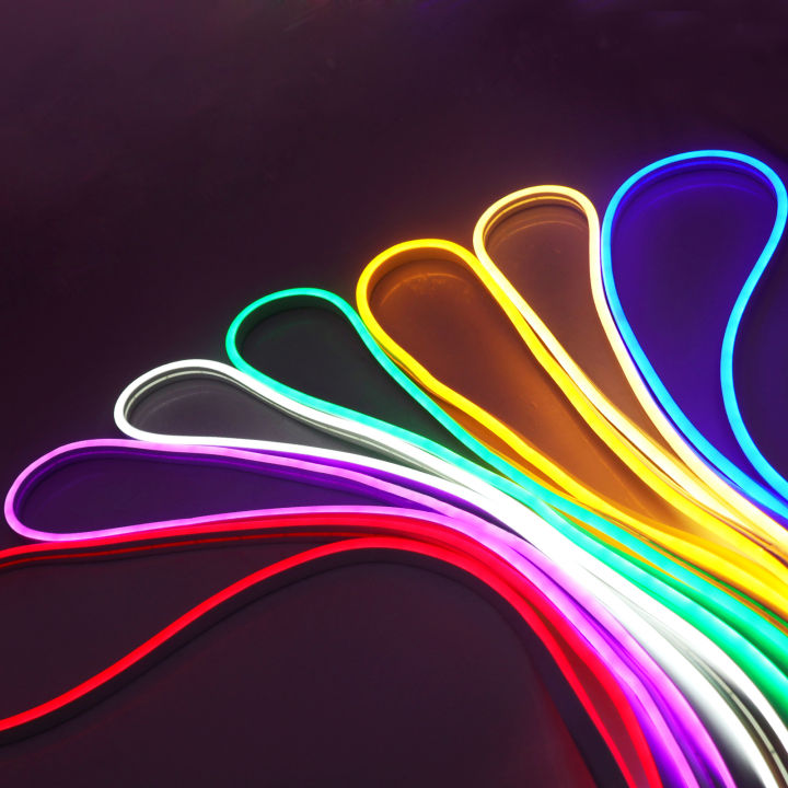 DC 12V LED Neon Strip Rope Lights Neon Sign 6X12mm Flexible Light 2835 ...