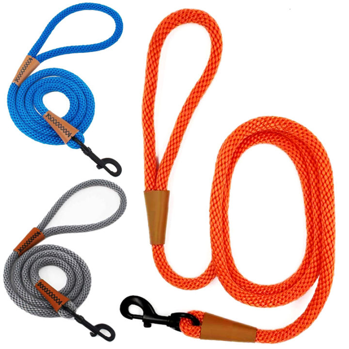 Dog Leash Durable Nylon Rope Dog Training Leash Reinforced With Leather ...