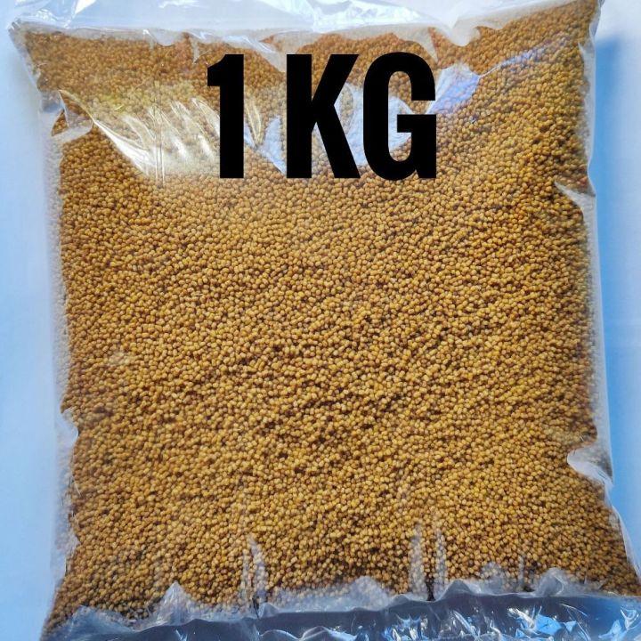 0.6mm 1kg Fish food highly nutrition or any fish food | Daraz.com.bd