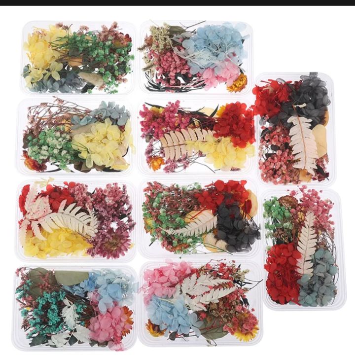 1 Random box of Mix dried flowers for resin art |Mix Beautiful Real ...