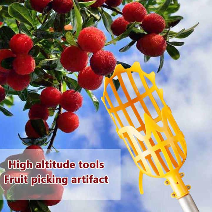 Fruit Picker Picking Loquat Picking Bayberry Tool Garden Basket Fruit ...