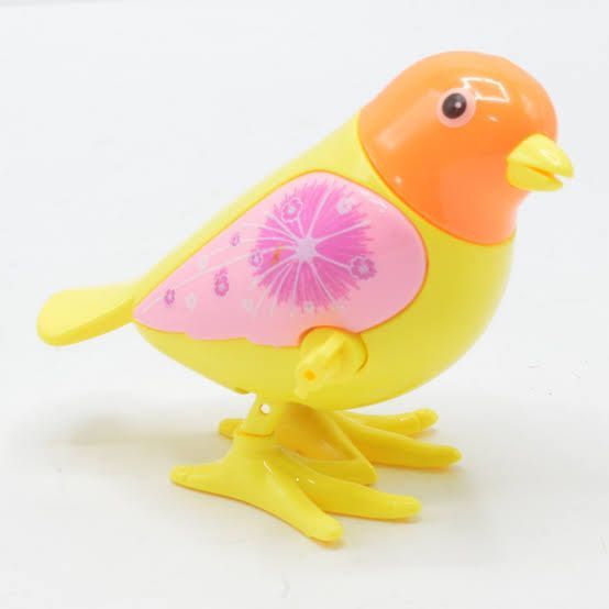 Beautiful Jumping wind up sparrow kids toy | Daraz.pk