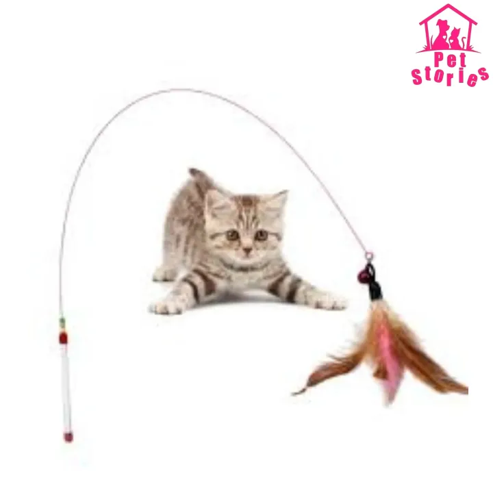 Teaser Toy with Feather for Cats & Kittens | Daraz.com.bd