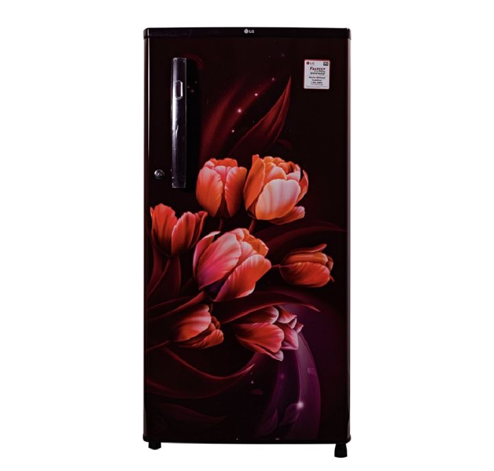 LG 190 Liter Single Door Refrigerator - GLB204OSTC.ASTQ | Daraz.com.np