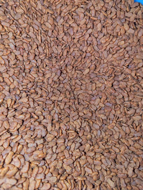 Mow Mow Repack Loose Cat Food Tuna Flavour 1 kg | Daraz.com.bd