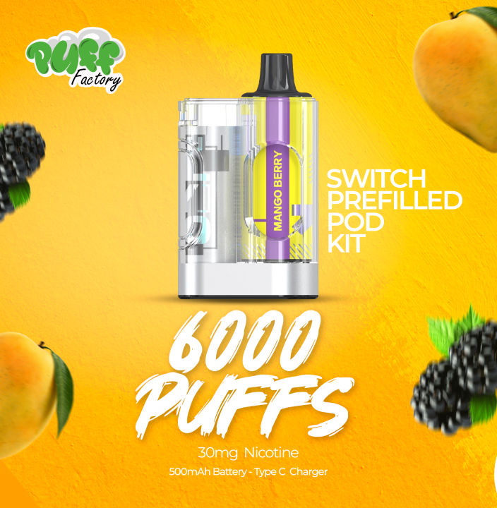 Flyto Switch 6000 Puffs | Daraz.com.bd