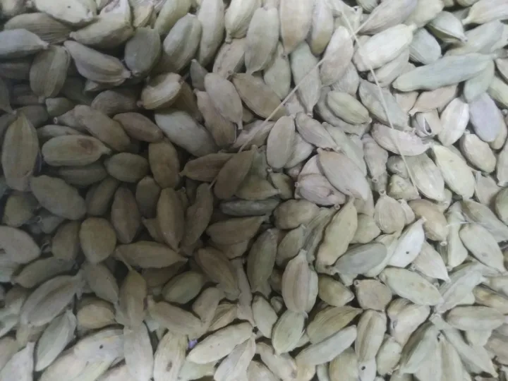 Green Cardamom Elach/Elachi 500Gm | Daraz.com.bd