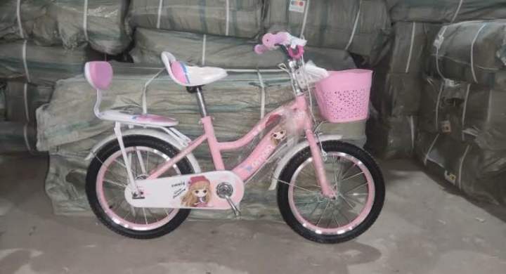 16 inch cycle for girls 5 to 9 years child | Daraz.pk