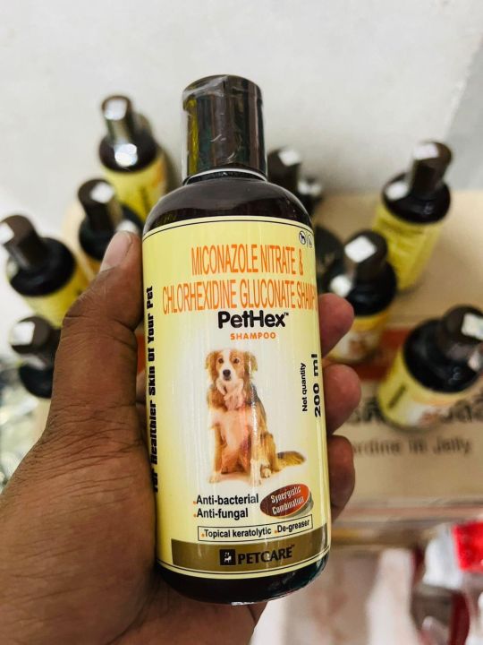 Pethex petcare antibectarials and antifungal cat,dog shampoo 200ml ...