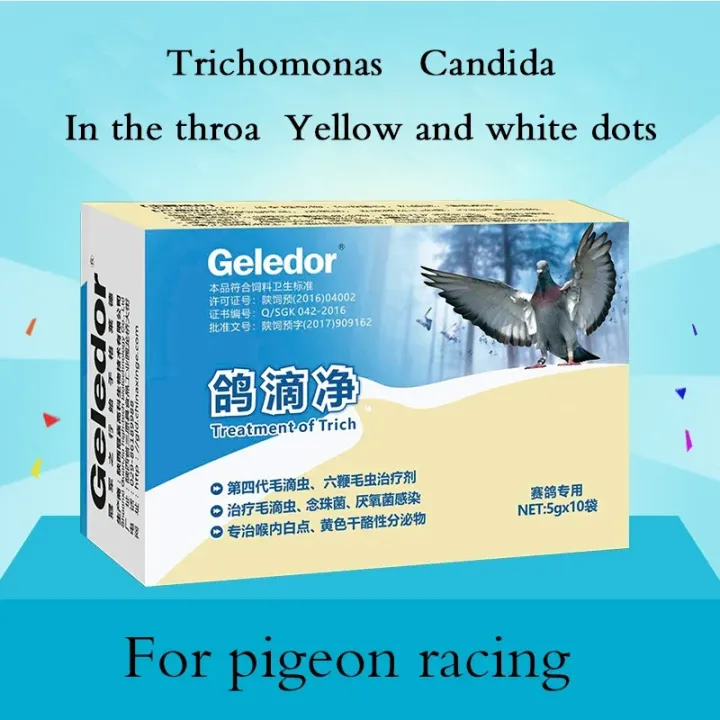 Trichomonas candida pigeon medicine pigeon drip net homing parrot bird ...