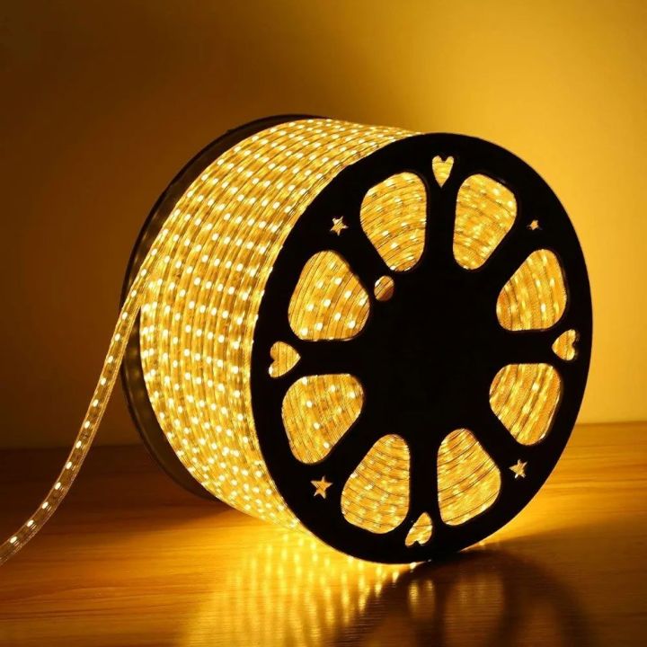 Golden strip rope light 1 Meter with switch attached | Daraz.pk