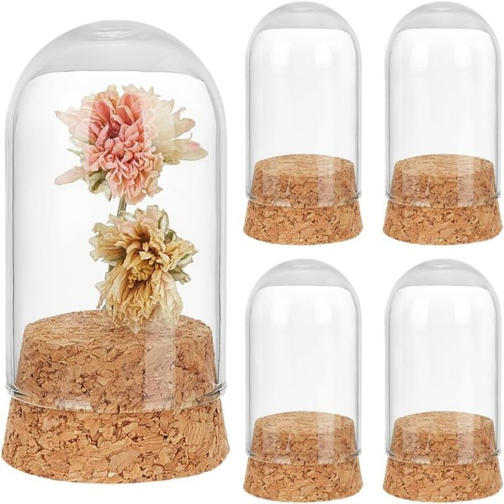 4pcs Mini Glass Jars Small Glass Display Dome Cloche with Cork Small ...