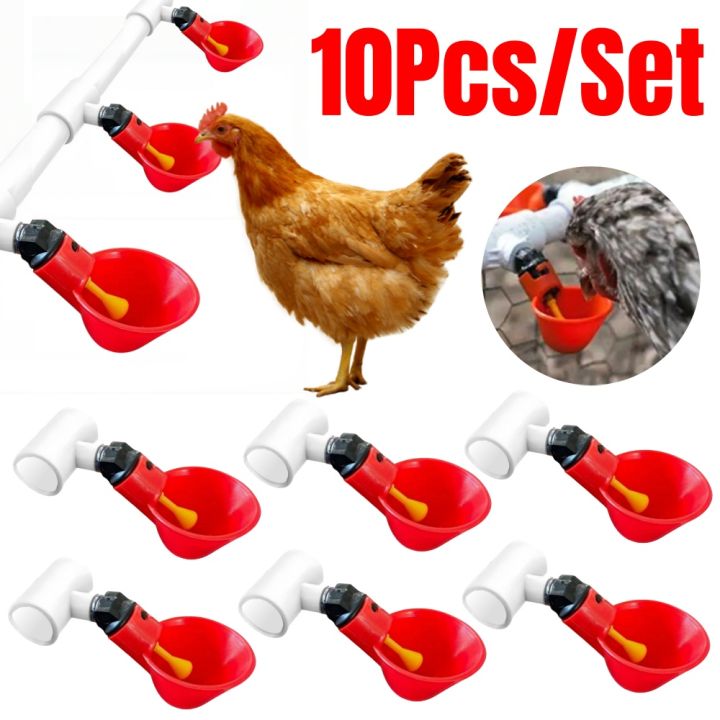 Automatic Chicken Water dispenser Plastic poultry drinking bowl ...