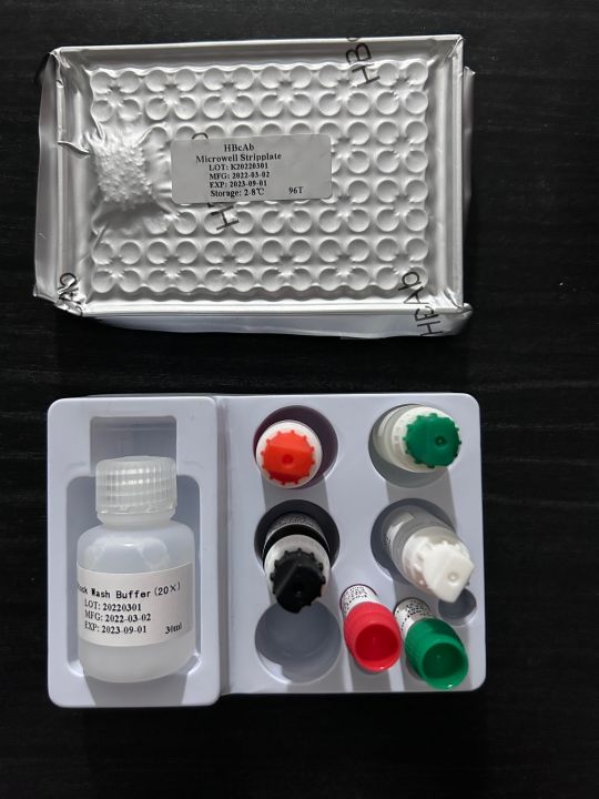 HBcAB Elsa Kits | Daraz.com.bd