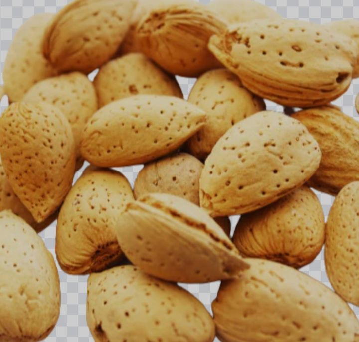 Premium Desi Almonds with Shell (GurBandi Badam /100% mitha/ Katha ...