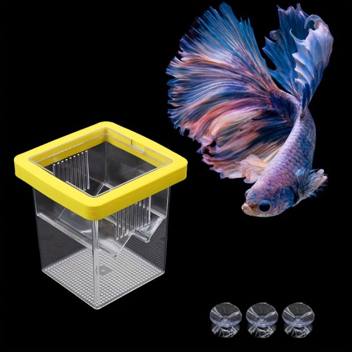 Multifunctional Fish Aquarium Fish Breeding Isolation Box High Clear ...