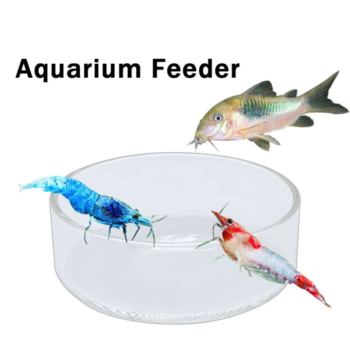 Transparent Aquarium Fish Tank Shrimp Food Feeding Circle Glass Feeder ...