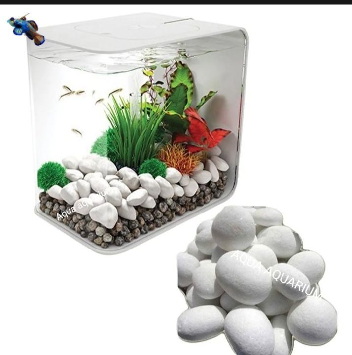 Aquarium Pure White Natural Stones For Fish Tank And Garden 1 KG | Daraz.pk