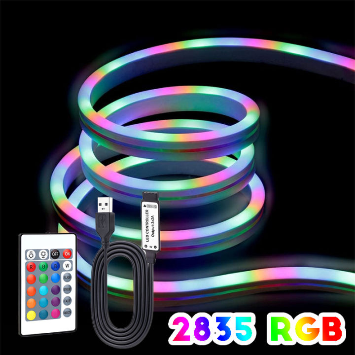 Neon Rope Light with RGB, 5V LED Neon Flex with Remote Control USB LED ...