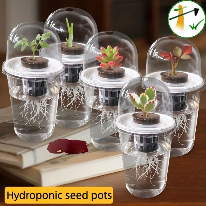 Transparent Vertical Hydroponic Seed Starter System Transparent Root ...