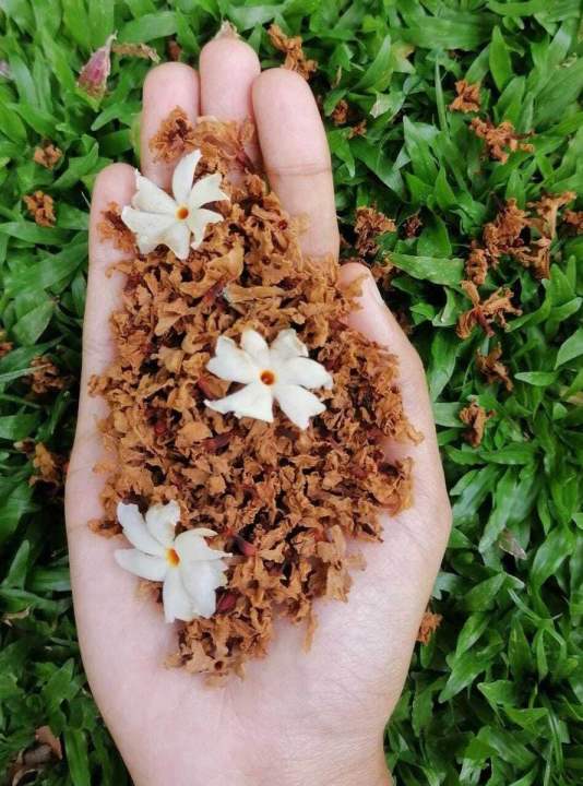 Dried Sepalika Flowers – Natural Herbal Tea | 100% Pure & Sun-Dried ...