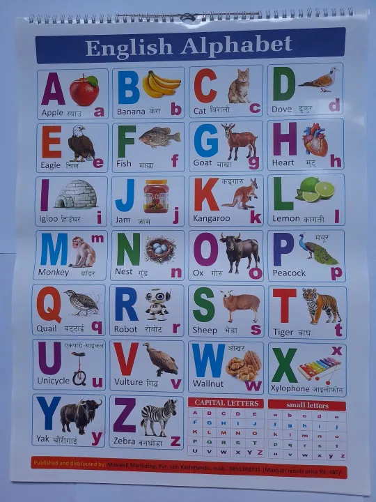 Wiro Calander Chart 12pages (15 x 19.5 inch) | Daraz.com.np