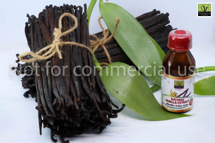 sri lanka natural vanilla been | Daraz.lk
