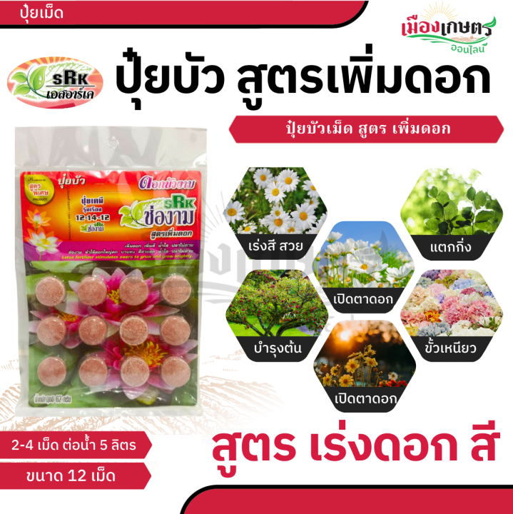 Lotus leaf fertilizer, 12 tablets of Lotus fertilizer, helps Lotus to ...