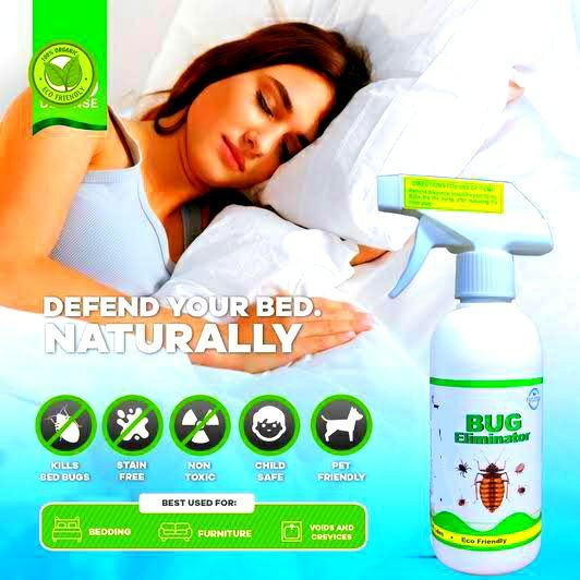Bed Bug (Charpoka) Control Spray 100% Satisfaction 500ml Bed-Gag Con ...