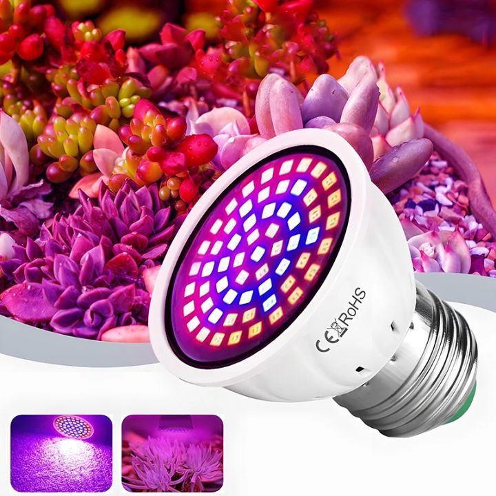 LED Plant Grow Light Cup E27 Plant Indoor Fill Light Cup 220V ...