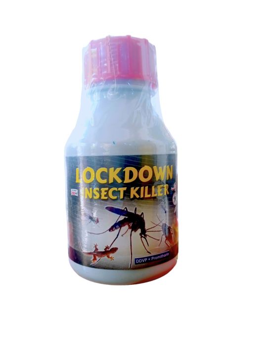 LOCK DOWN Insect killer 250ml Mousqueto killer Mosquito repellent ...