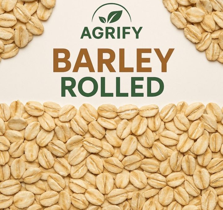 Rolled Barley Oats Jau | Healthy Oatmeal Porridge | Daliya | High Fiber ...