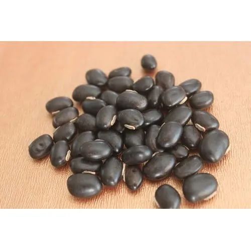 Alkushi Seeds - 500gm | Daraz.com.bd