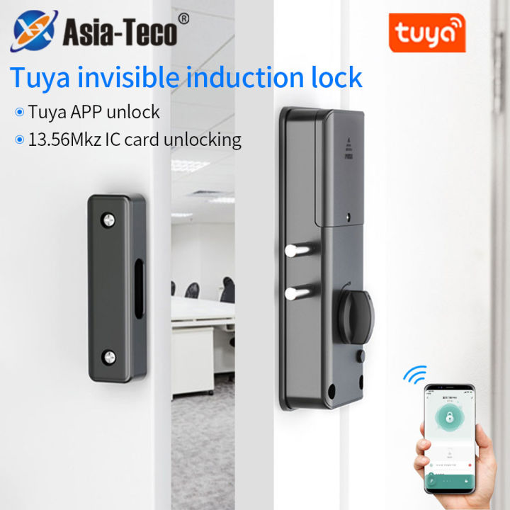 Smart Electric Motor Lock With Tuya App Keyless Entry Door Lock ...