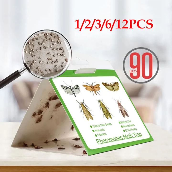 1/2/3/6/12PCS Pantry Kitchen Flies Food Indian Meal Moths Catcher ...