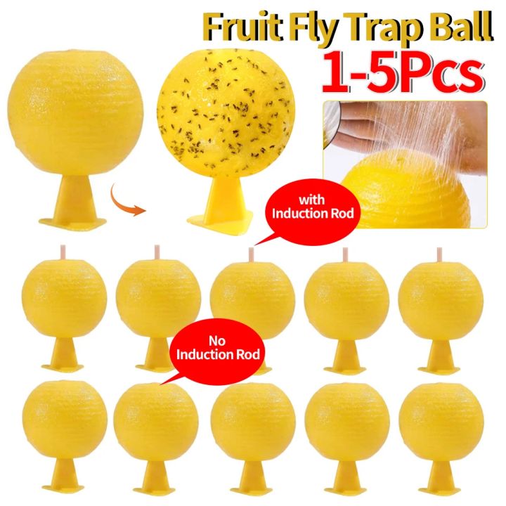 1-5Pcs Fly Trap Ball Fruit Fly Catcher Mosquito Collector Insect Trap ...
