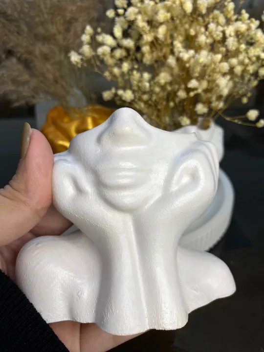 1 pc Lady face vase best for decoration purposes, side table main room ...