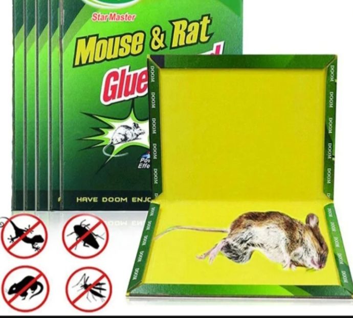 2 Pack Large Mouse Glue Traps with Enhanced Stickiness, Rat Sticky Pad ...