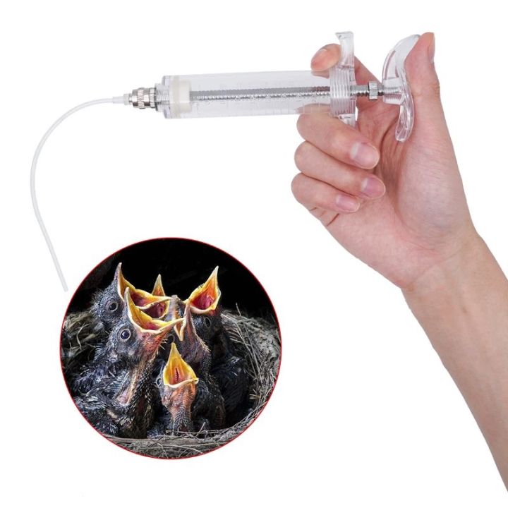 Birds Handfeeding Syringes | Daraz.lk