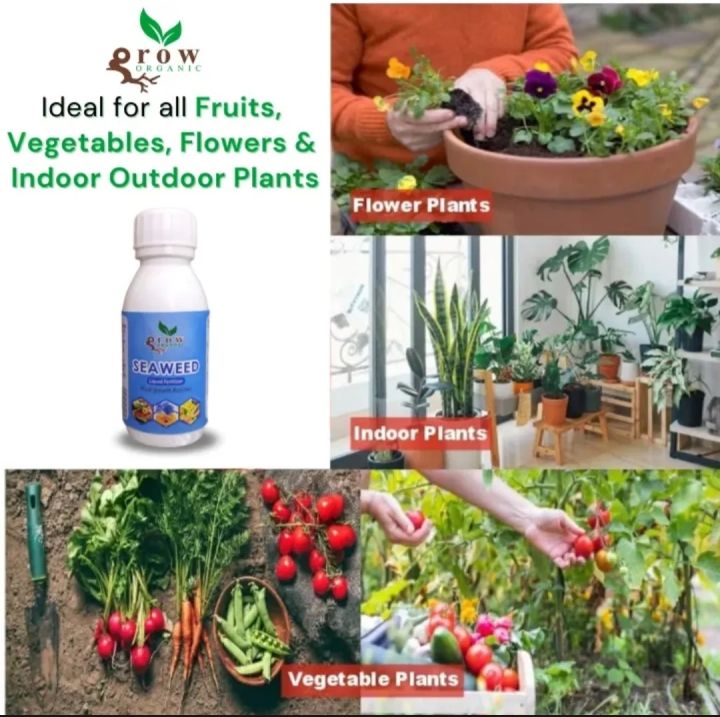Trichoderma 500ML Organic Bio Fungicide Soil Conditioner for Root ...
