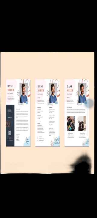 Set Of Three Attractive Professional Premium Resume CV Template Bundle | Daraz.pk