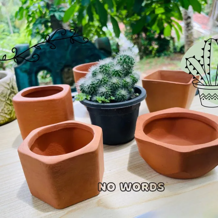 Clay Cactus Pot | Mini Pot | Succulent Planter | Indoor Outdoor ...