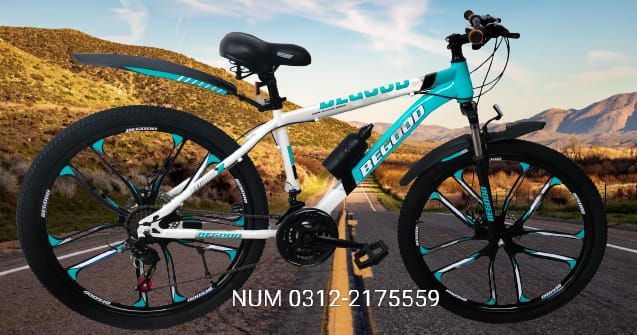 BRAND BEGOOD CYCLE SIZE 26 STAR ALLOY RIM SPECIAL LATEST 10 SPOKE FRONT ...